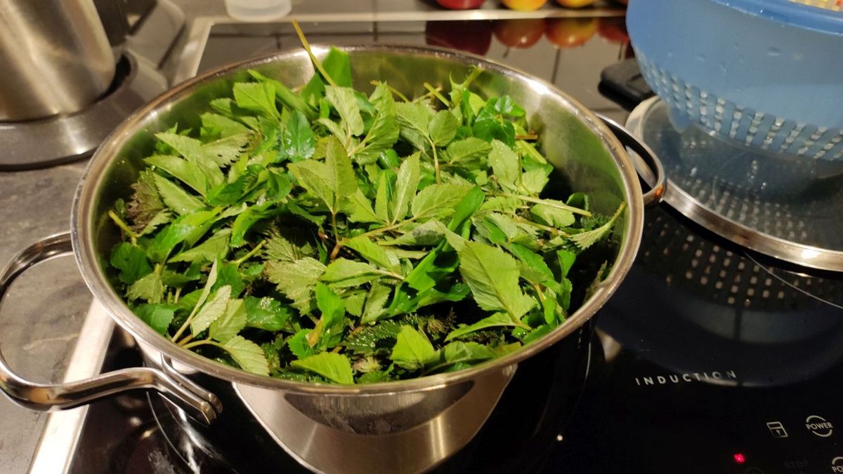 Kochen mit Kindern im MQ: Gründonnerstagssuppe